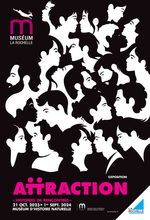 Attraction au Muséum de La Rochelle - Marguerite La Rochelaise